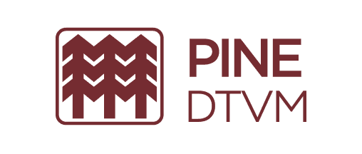 Quem Somos | Banco Pine